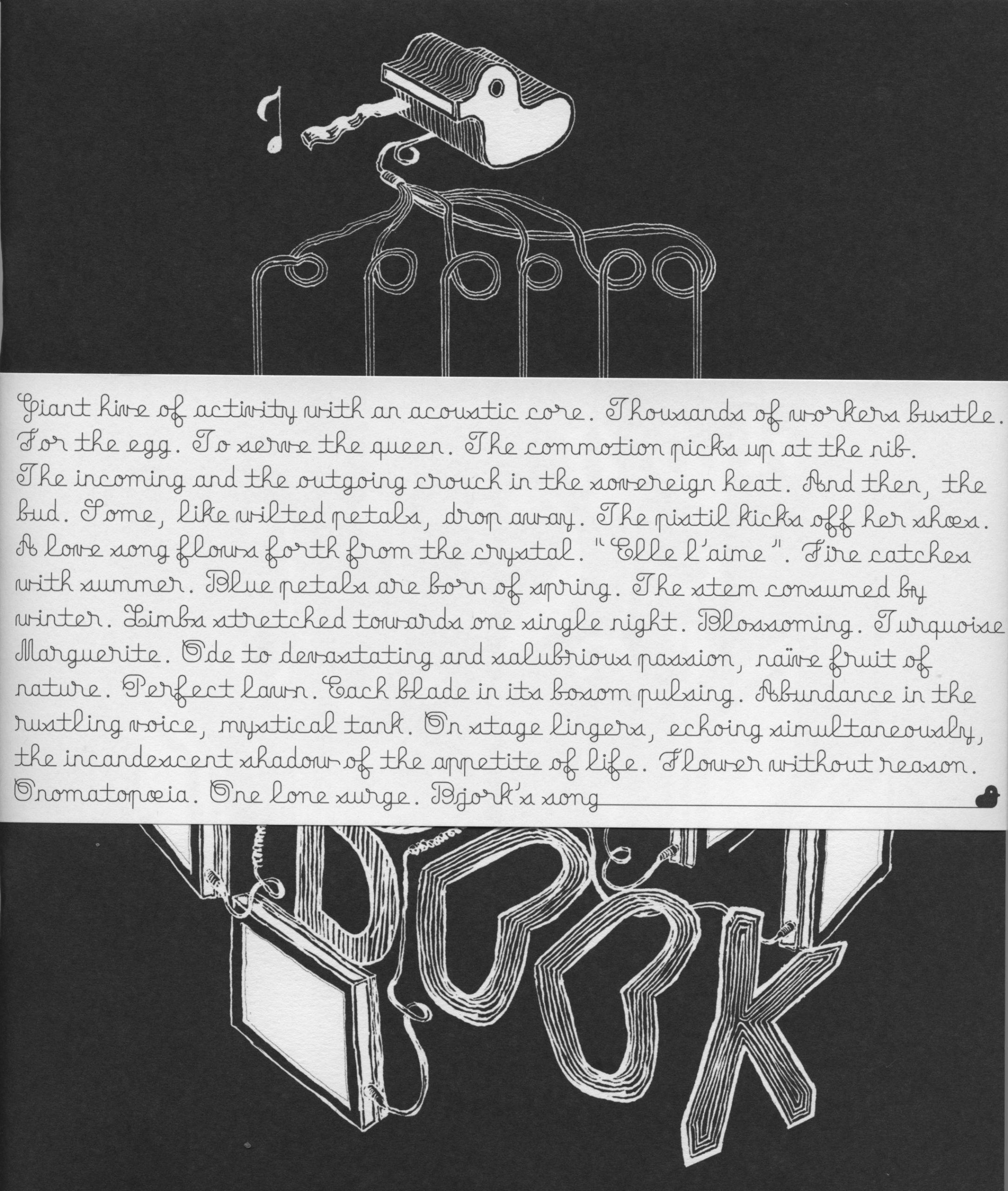 Björk - Conversation With Björk (Book) – Björk Official Store